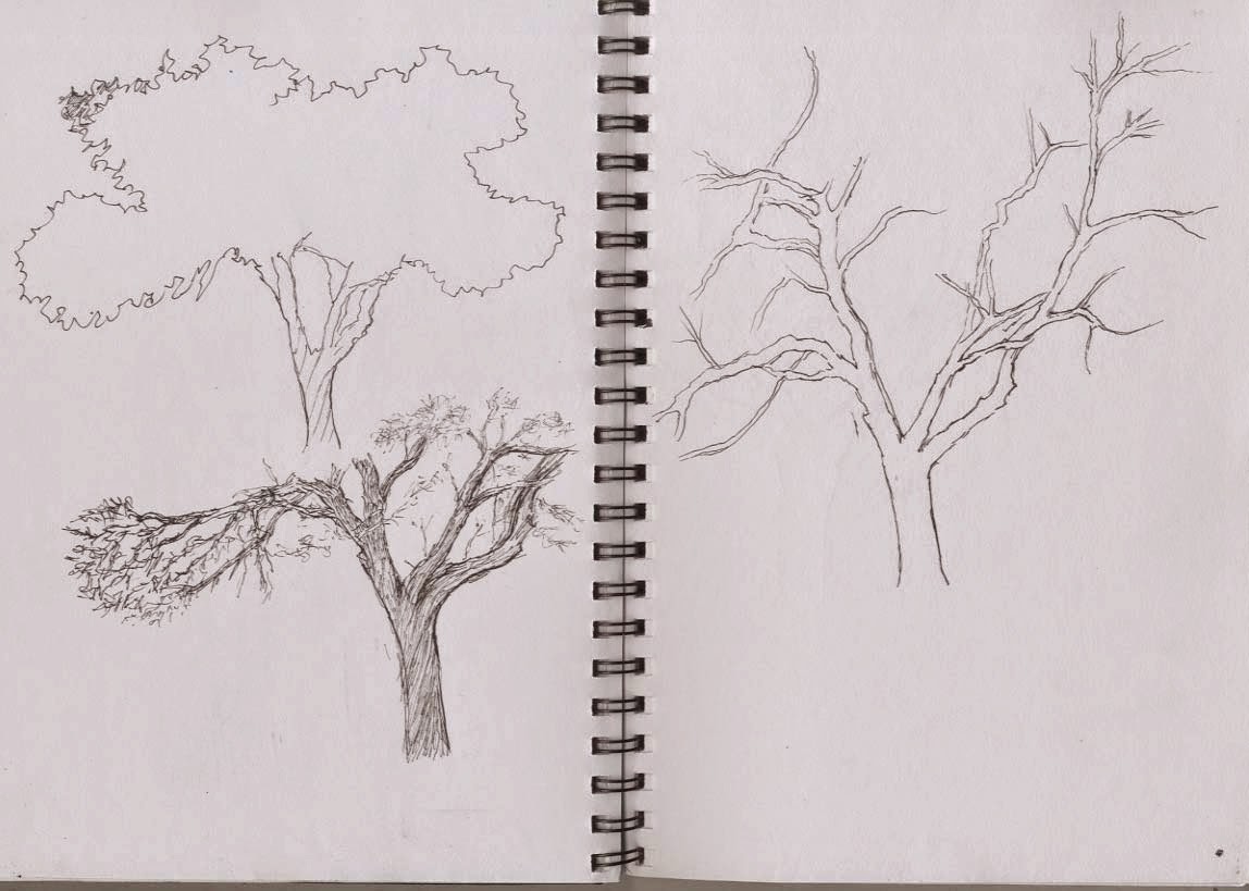 suburban sketches: Part 3 Exercise 1 - Sketching individual trees