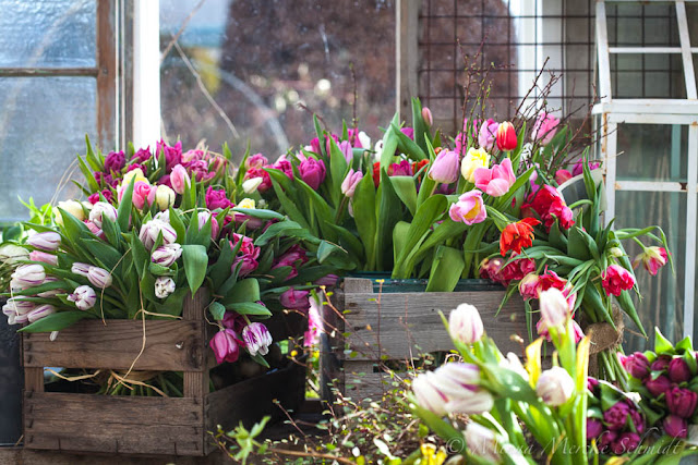 10 ways how to arrange your tulips