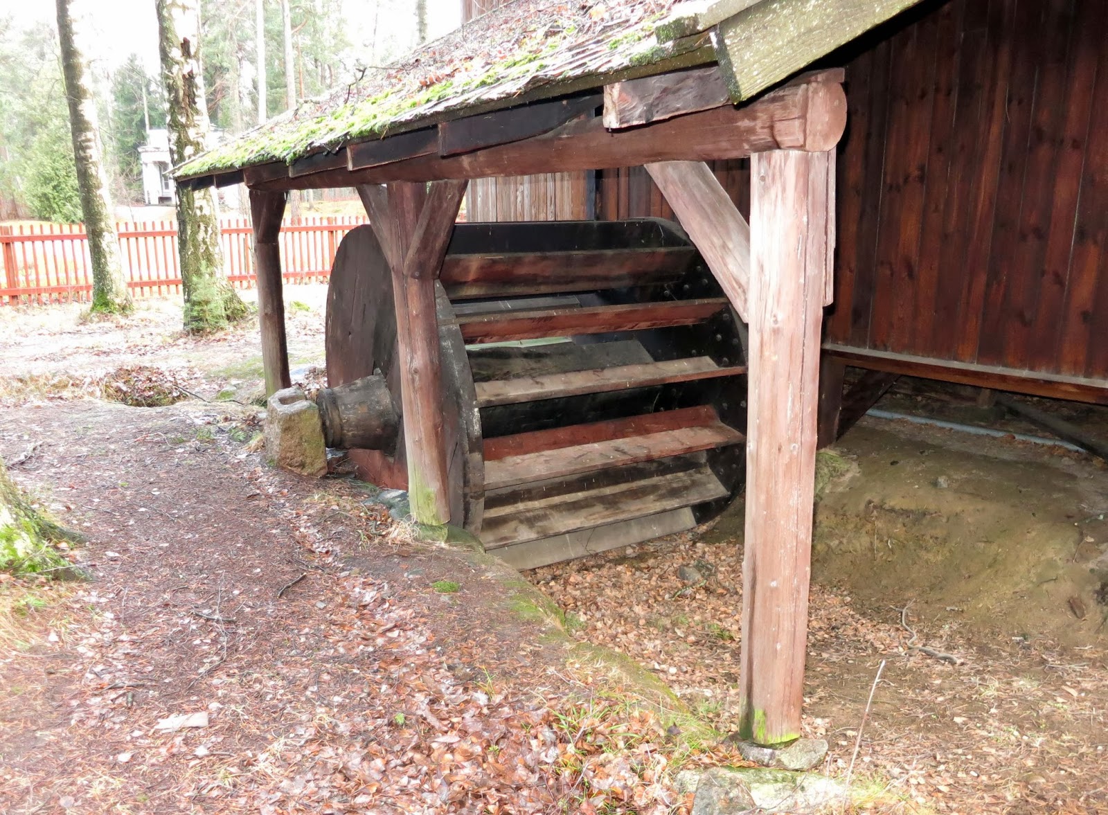 Söta drömmar: Fölisön en regnig vinterdag