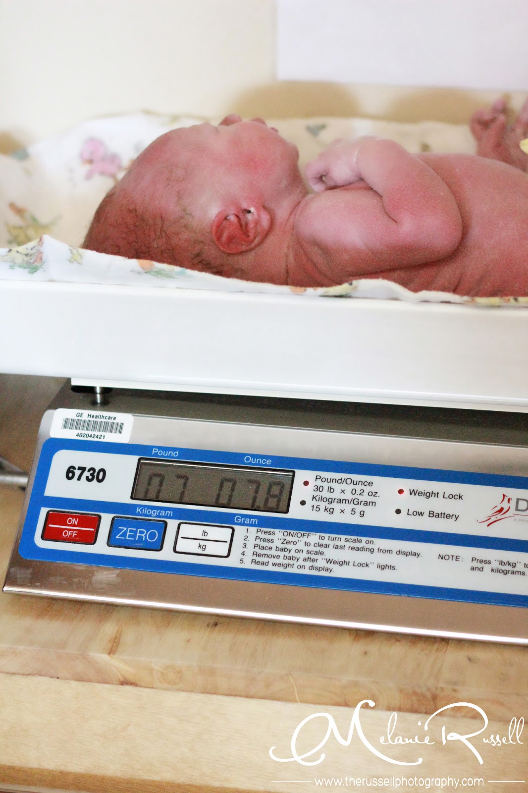 Scout | A Birth Story