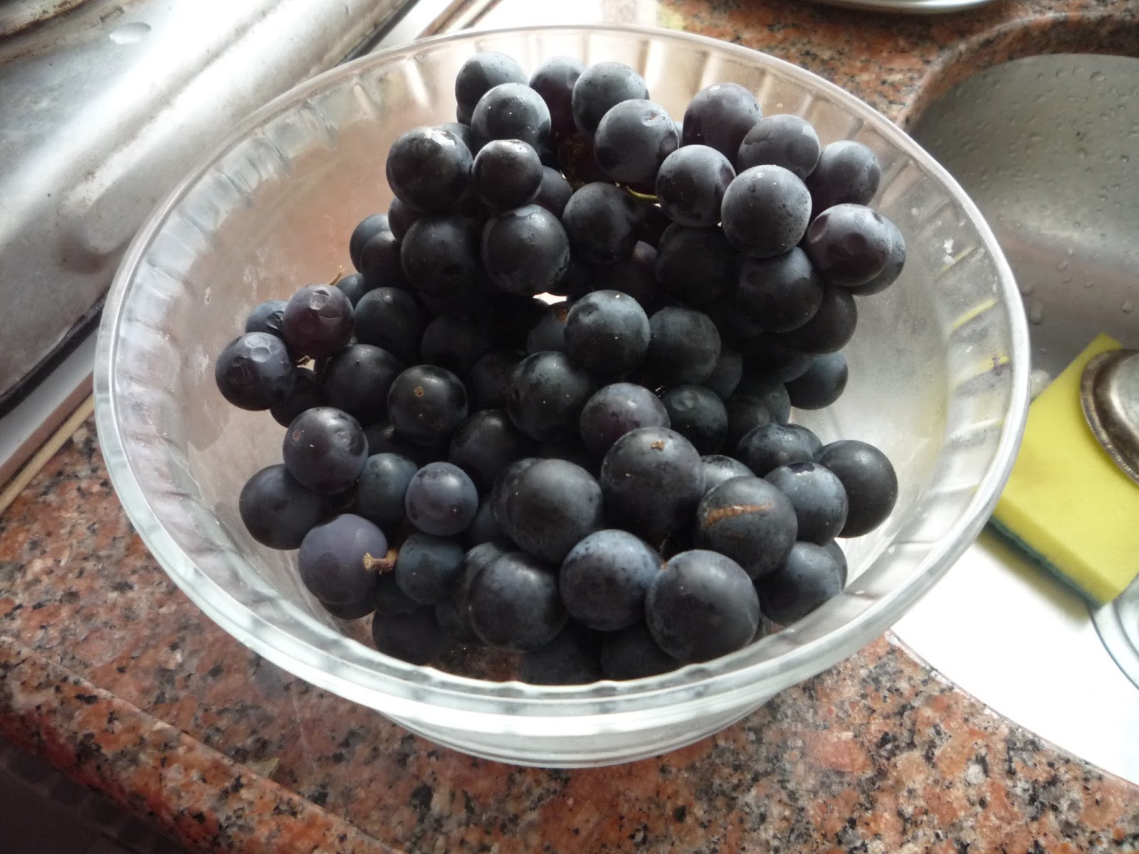 SABORES DO CASARÃO: AINDA É TEMPO DE SABOREAR UVA PRETA
