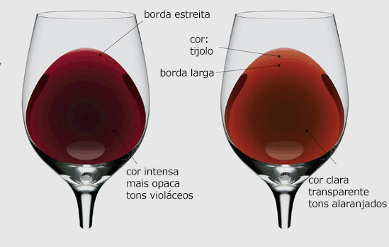 Vinhos | Gastronomia | Viagens - o lado cor de vinho da vida: As Cores ...
