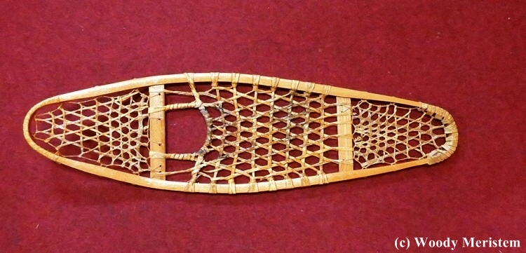 In Forest and Field: Snowshoes
