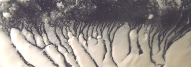 Rock Paper Scissors N Clay: Plaster remnants, wolf and marble work and ...