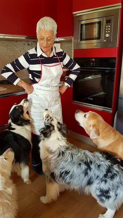 Beth Haslam - Author of the Fat Dogs and French Estates series: French ...