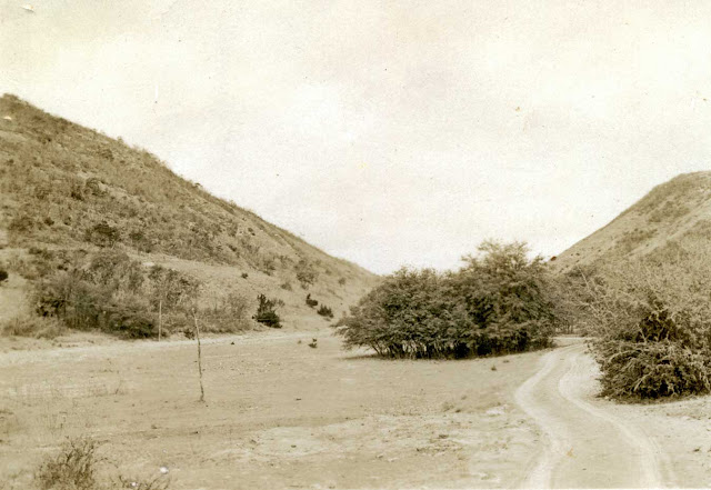 Joe Herring Jr.: Newly Discovered Photograph of Bandera Pass