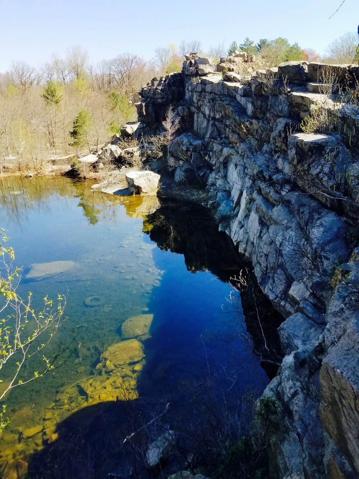 Hiking Mama: 52 in the Year of 52 --- #hike17 --- Cranberry Lake Preserve