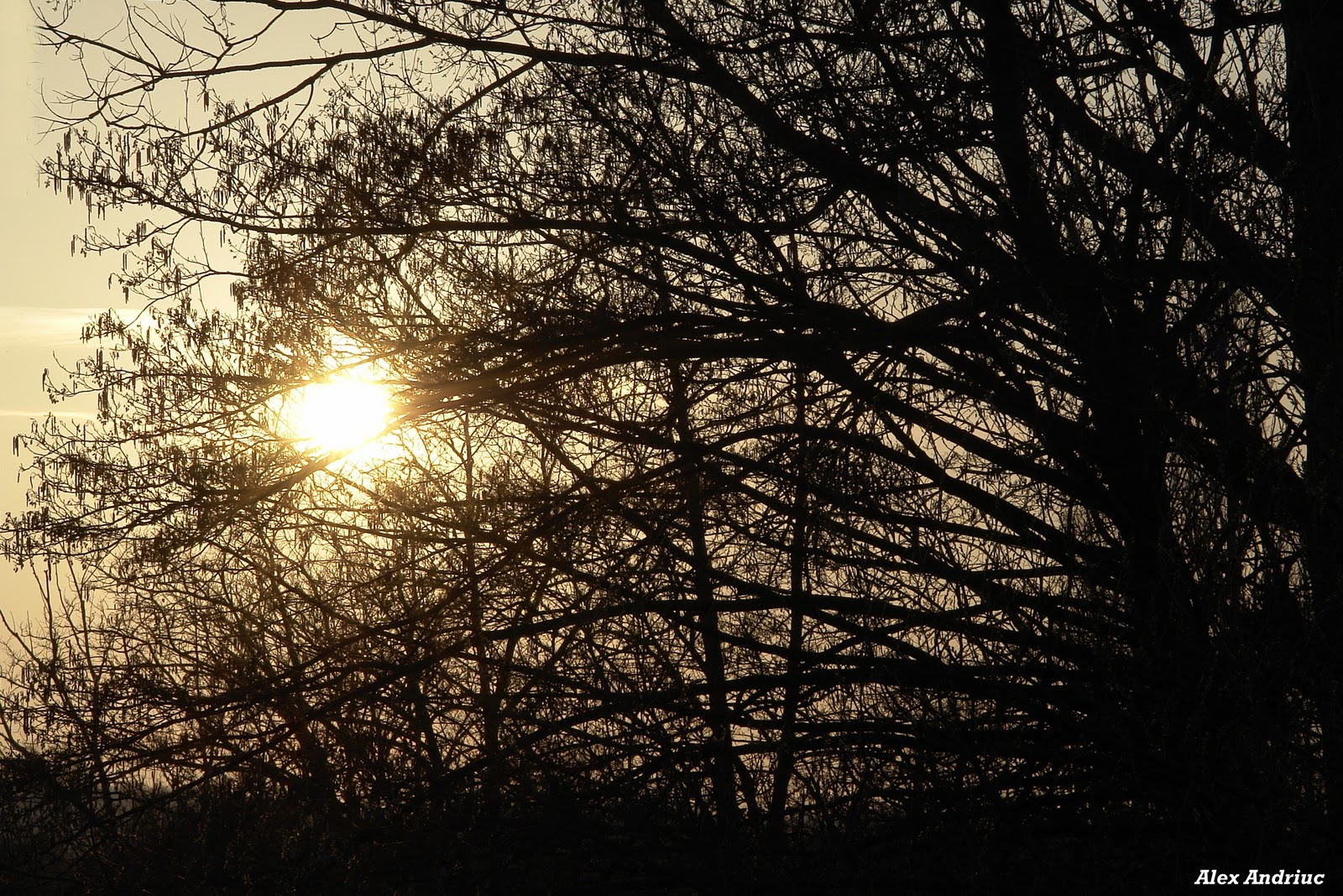 Alex Andriuc: Apus de soare pe valea Timisului.