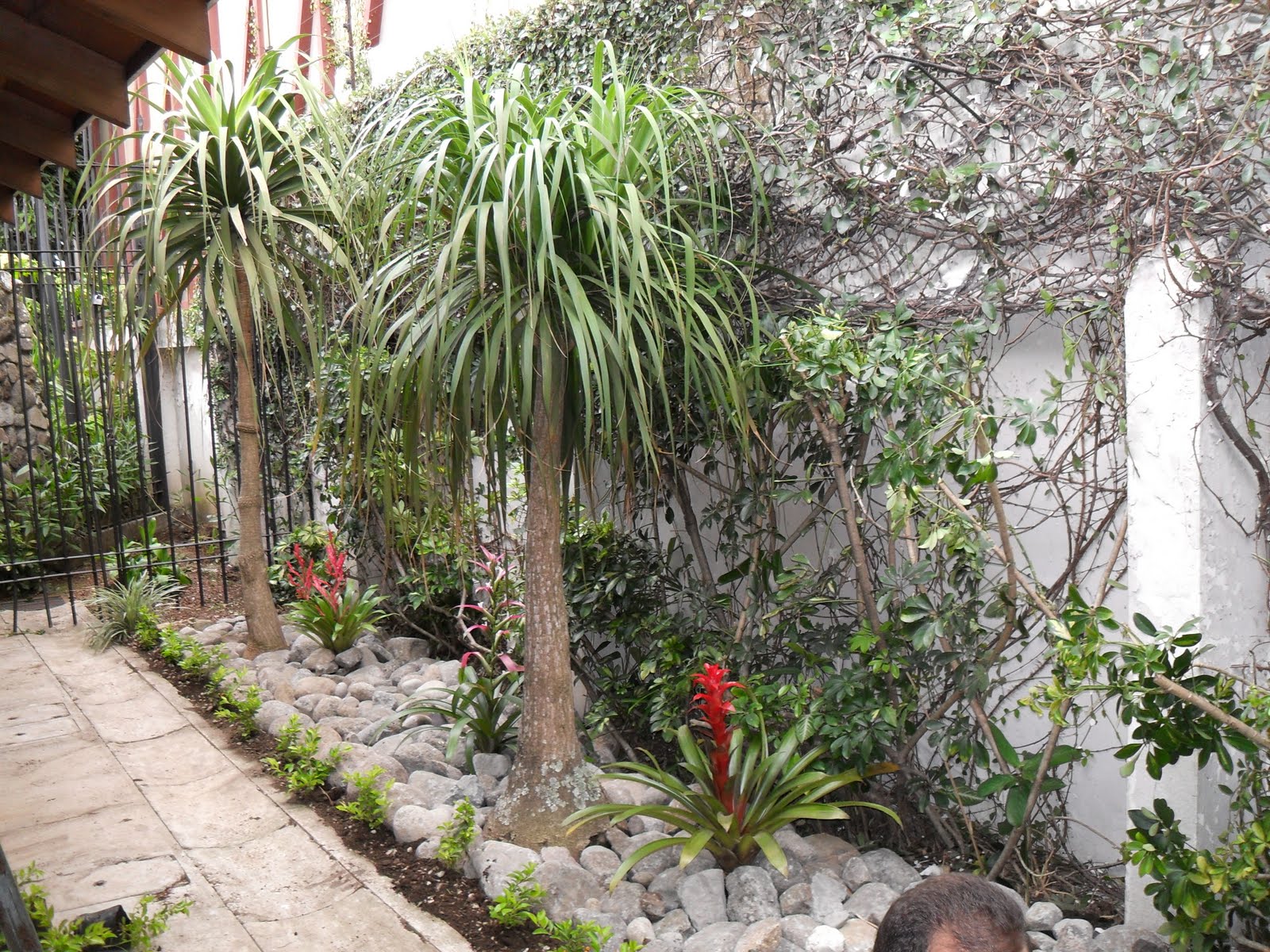 MANTENIMIENTO Y DISEÑO DE JARDINES: jardin Seco