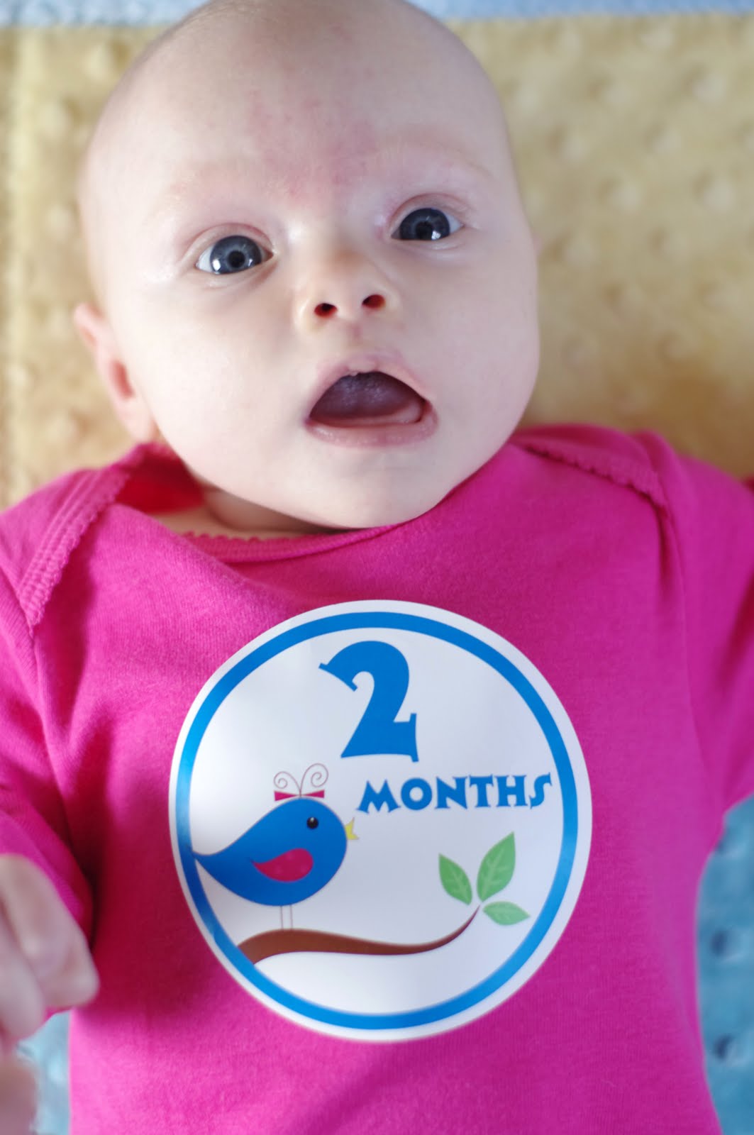Create Beauty Daily: Two Months--A Letter to My Sweet Girl