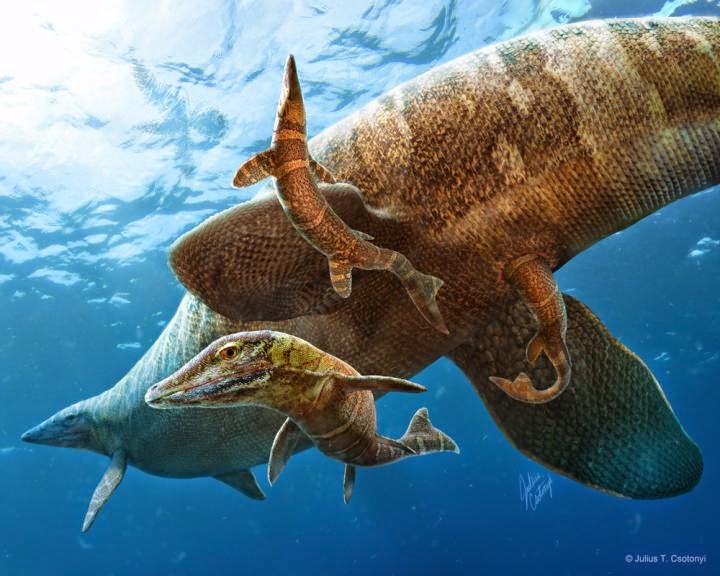 The Dragon's Tales: Mosasaurs Didn't lay Eggs on the Beach, Were Viviparous