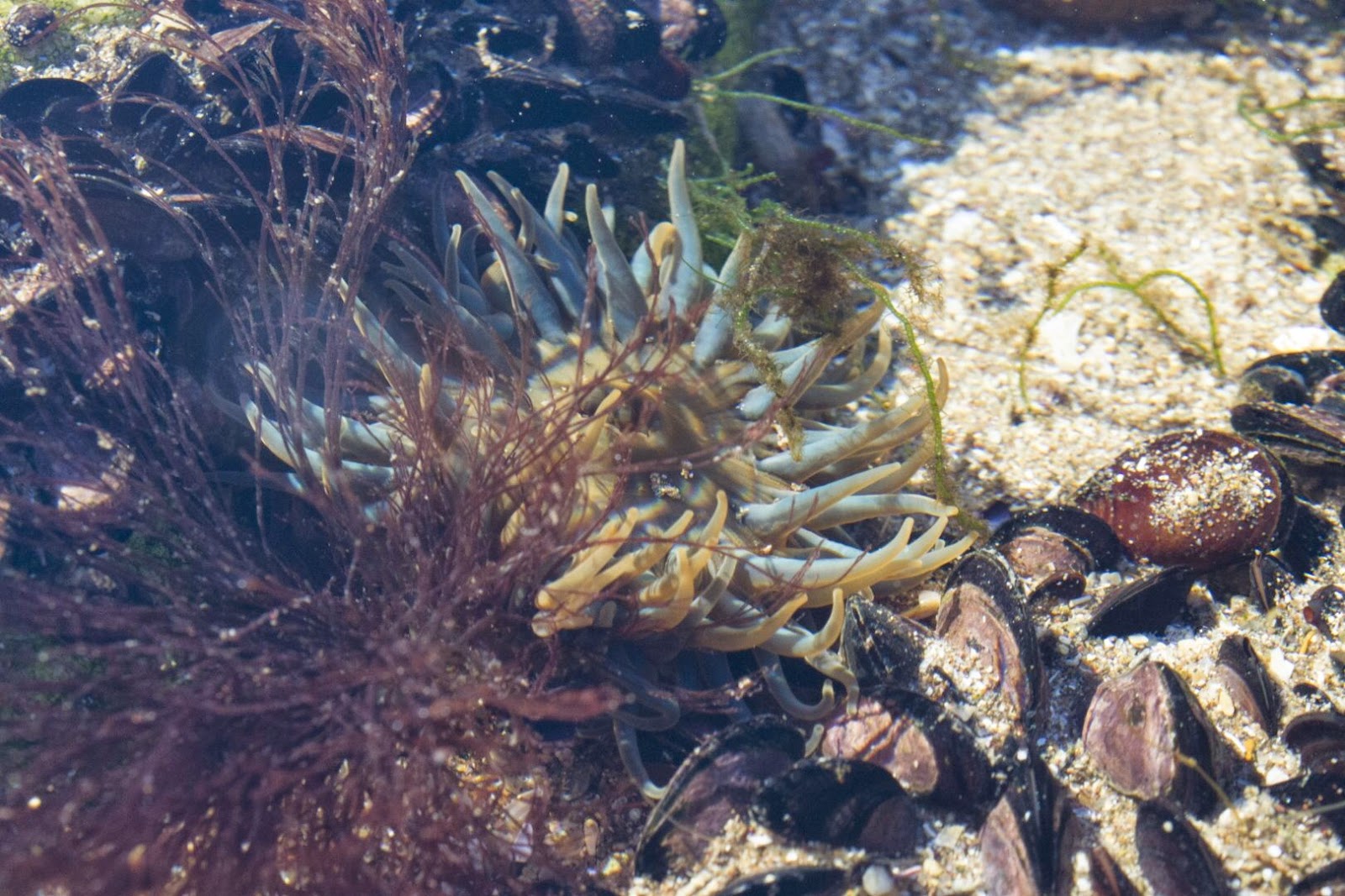 Diego Martin Grilli 3D Design