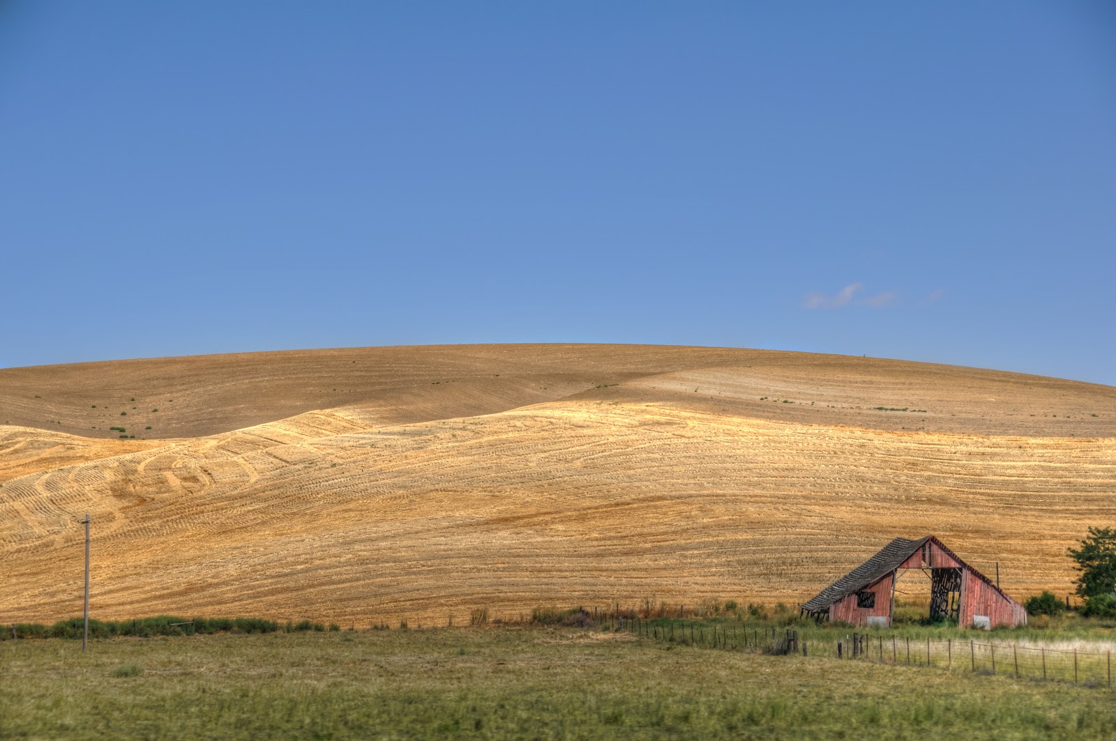 This Life in Ruins: Barn near Dusty, wa