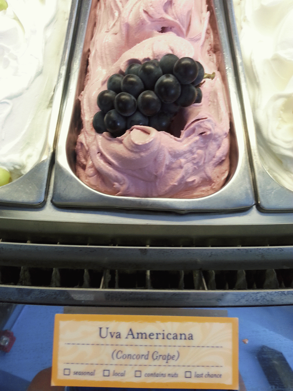 Capogiro Gelato Artisans: America's Grape: Purple things taste special