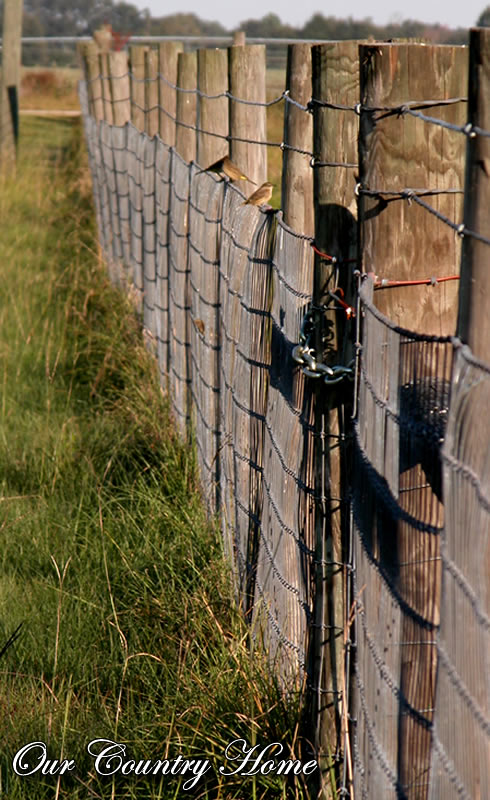 *Our Country Home...: Getting to know you...