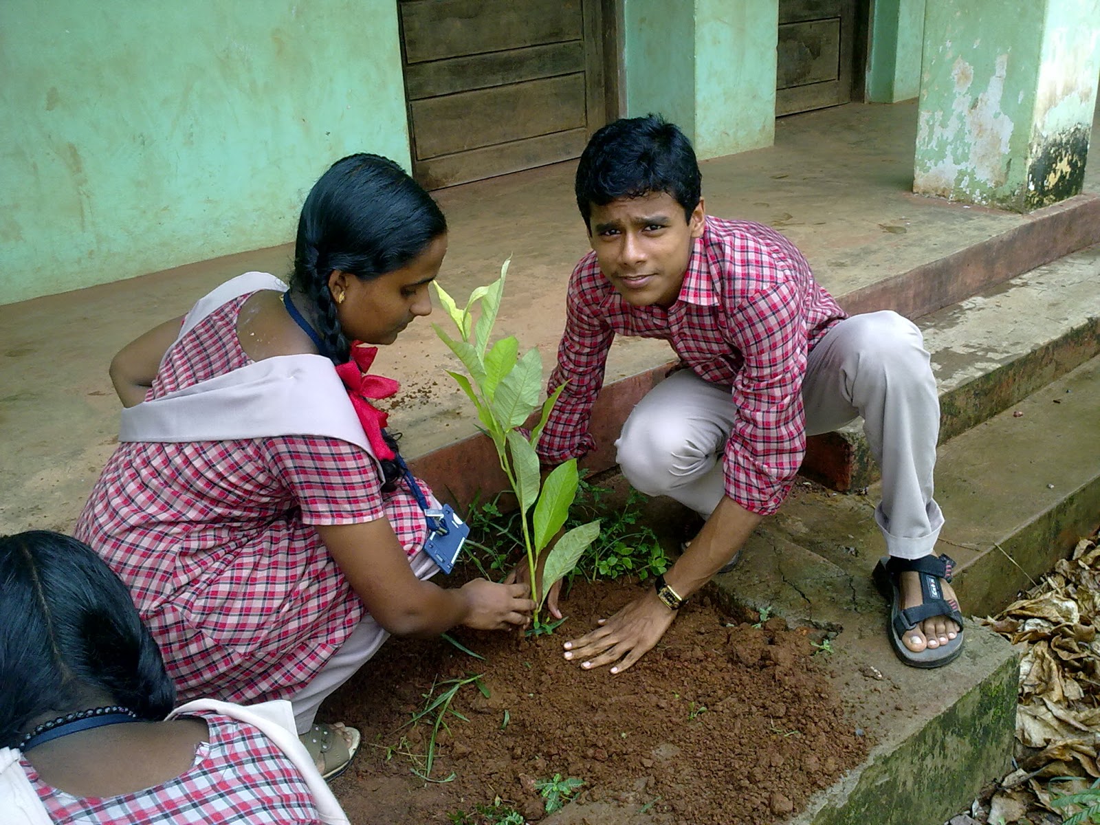 HIGHER SECONDARY NSS KASARAGOD: MY ACTIVITIES
