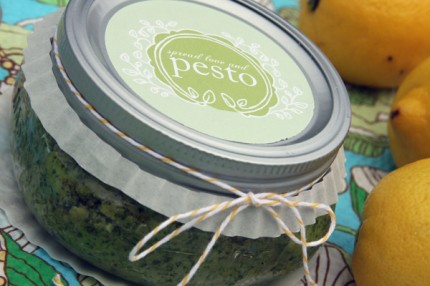 LQ Designs : Amazing Homemade Pesto, Recipe with Pictures and Label ...