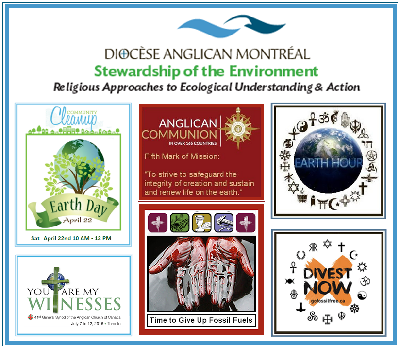 Stewardship of the Environment: Building Bridges: Stewardship of the ...