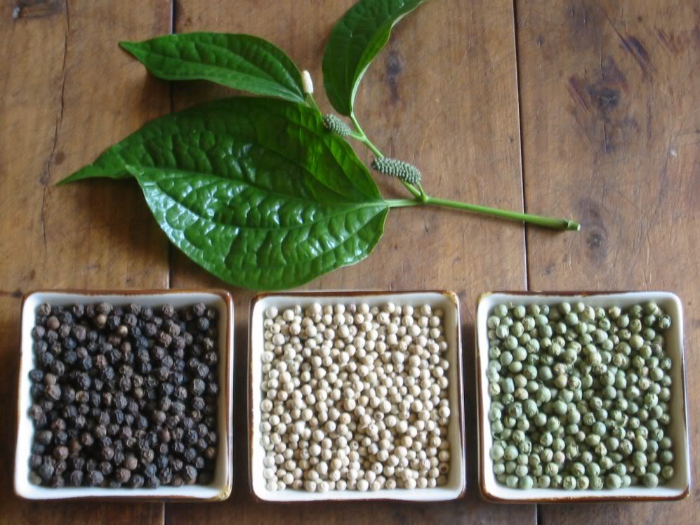 VARJACOM KROZ SVET: BIBER