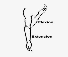 Ide-ide Perawat: Macam Macam Gerakan ROM