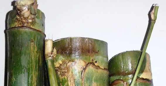 Galeri Bambu Unik Nusantara: Aneka bambu unik "Pring Jalu" (Various ...