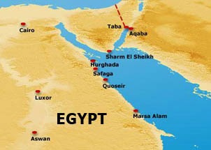 Greenwichdiving: Mar Rojo: El paraíso del buceo