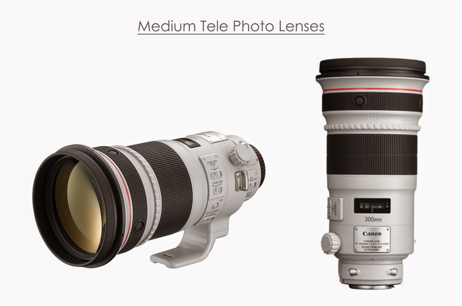 School Of Digital Photography: Tele Photo Lenses