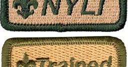 Scouts BSA Troop 1910, Keller, TX: Introduction to Leadership Skills ...