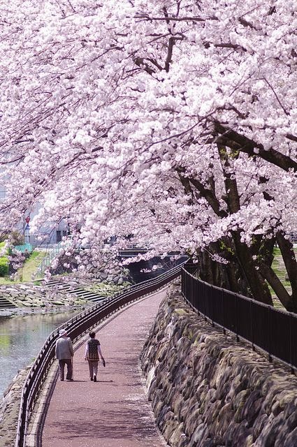 Signs of spring around the world ~ Stunning nature