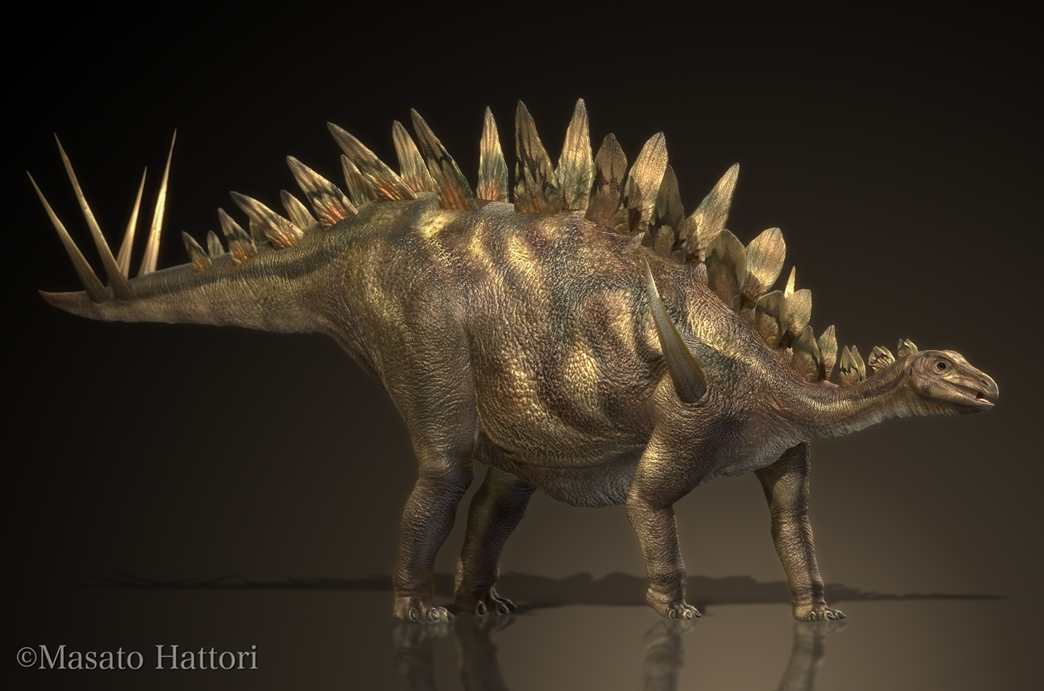 Marchan Blog: トゥオジャンゴサウルス Tuojiangosaurus