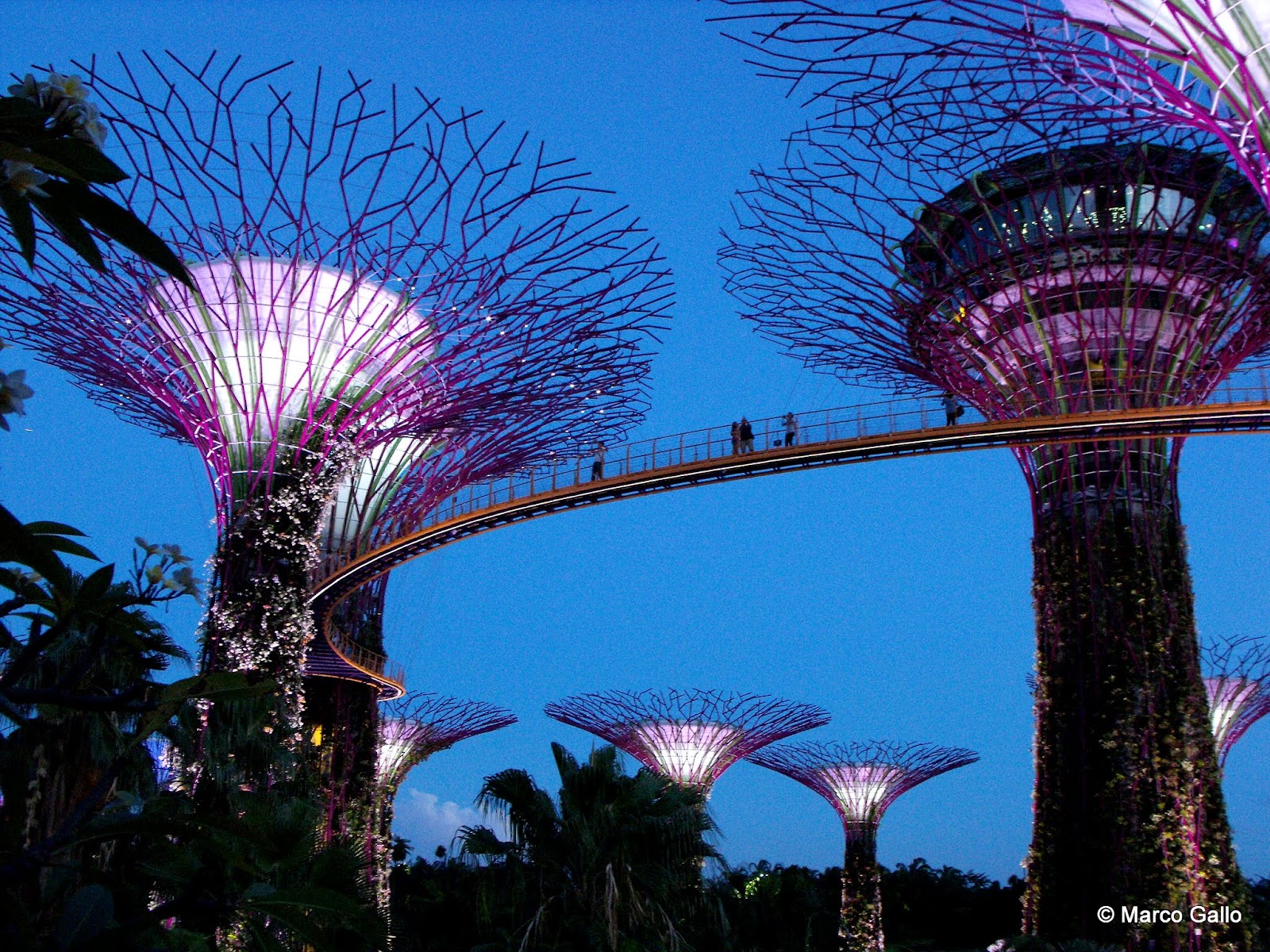 Vivir viajando: BOSQUE ARTIFICIAL. SINGAPUR