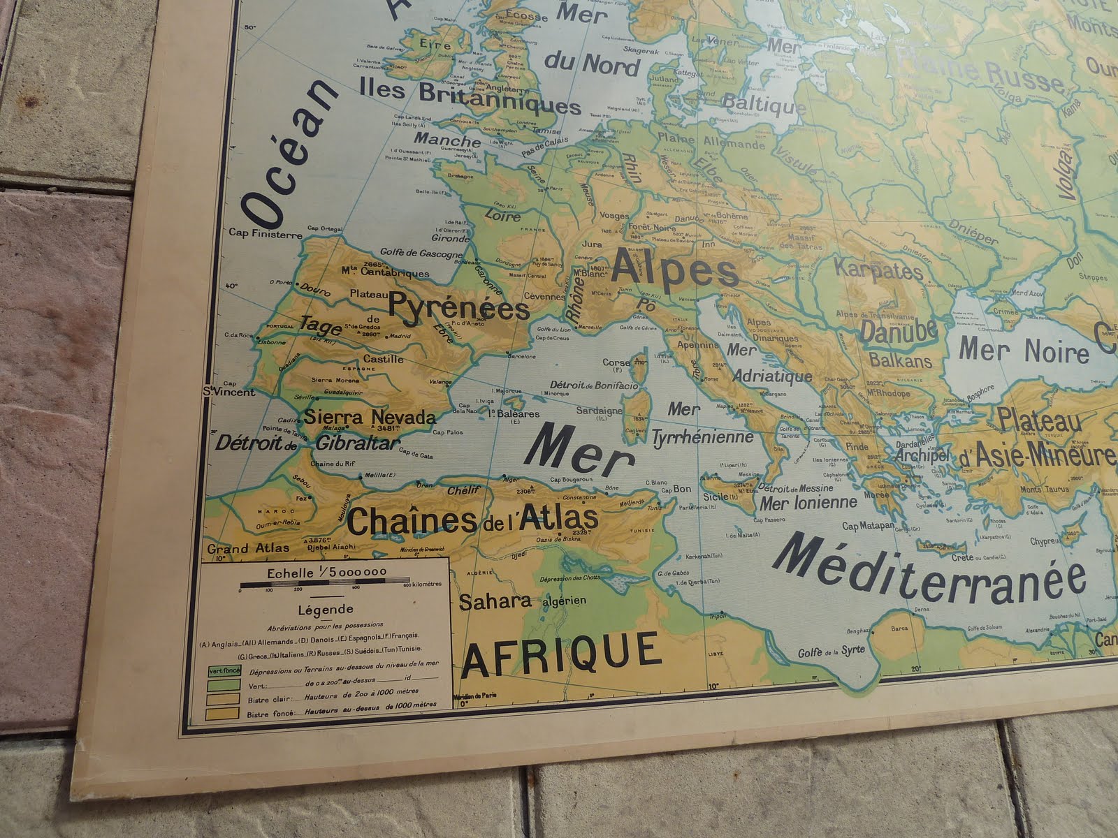 Vintage French Posters Botany Animals Anatomy, old World Maps from ...