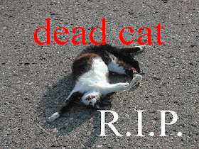 Dead Kitten Memes