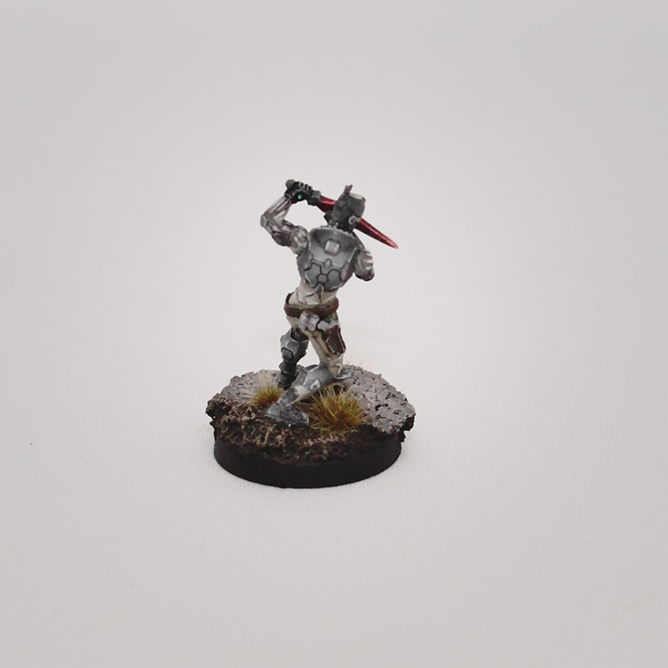 The Dark Prophet Chronicles: Miniature Spotlight: Infinity - ALEPH ...