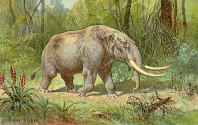 Equatorial Minnesota: Claosaurus