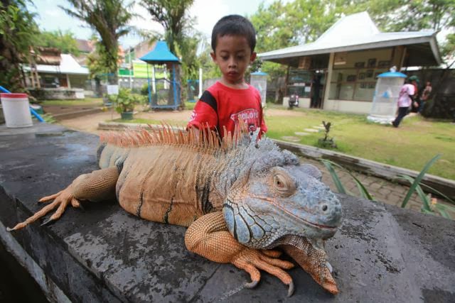 Snake & Reptile Farm Perlis | Interesting Places in Malaysia