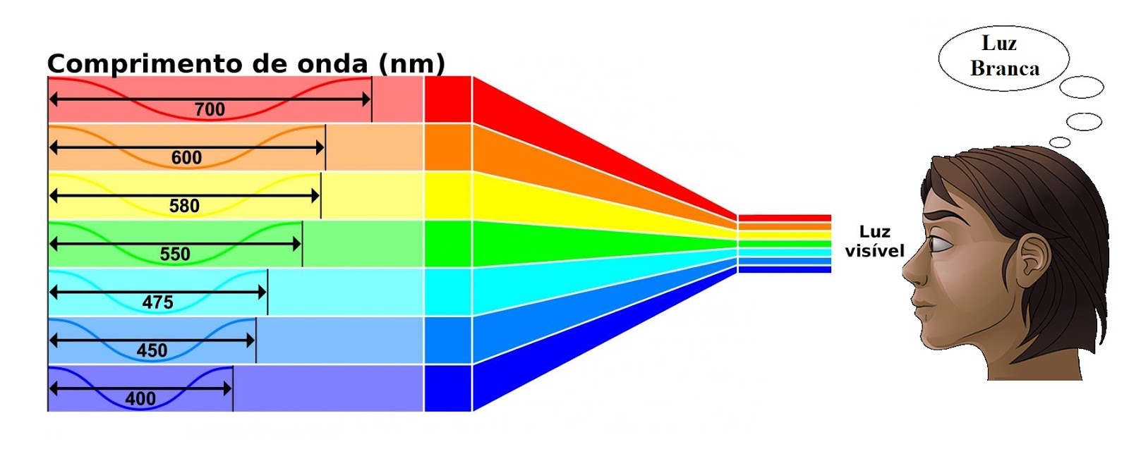 Introdução à Óptica: 2