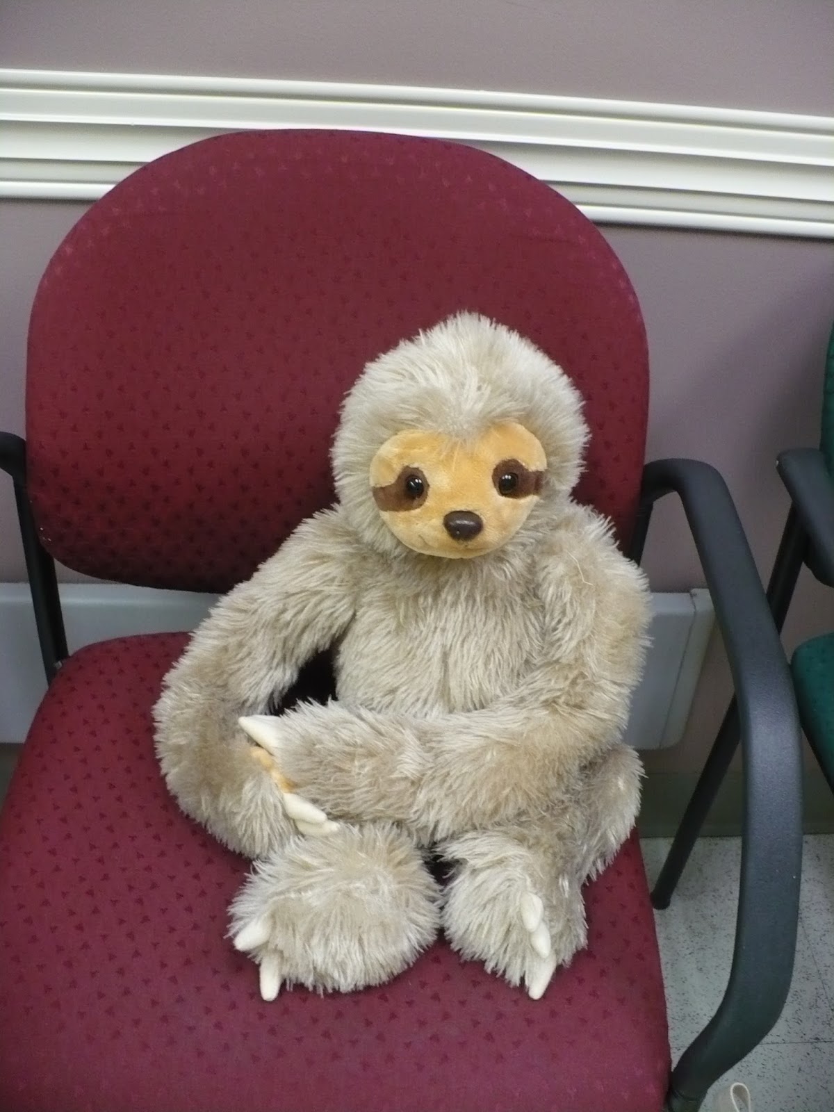 Roosterhen Diaries: Slowpoke Sloth Ventures Out