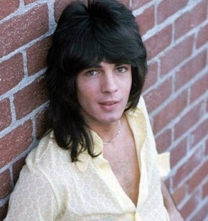 Rick Springfield Surgery