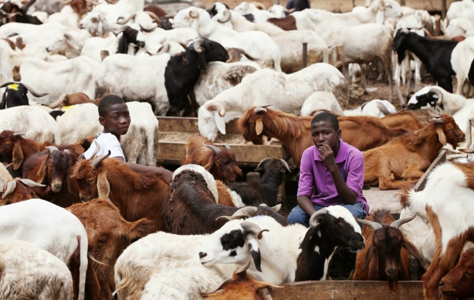 Van anderkant die ewenaar: Gemengde emosies