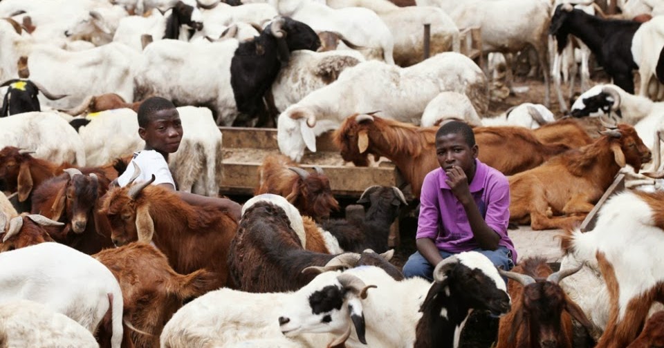 Van anderkant die ewenaar: Gemengde emosies