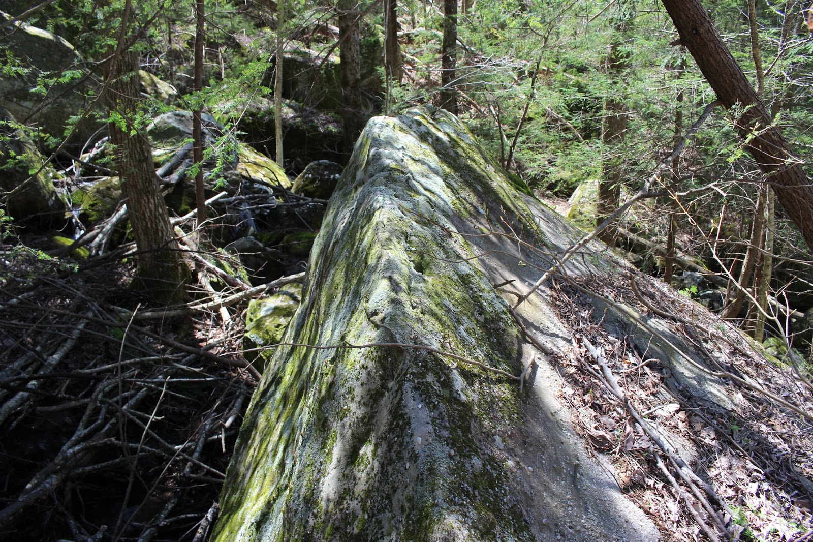 Cumberland Gal: Belle Ridge Retreat --Verble Hollow Falls & Spring ...