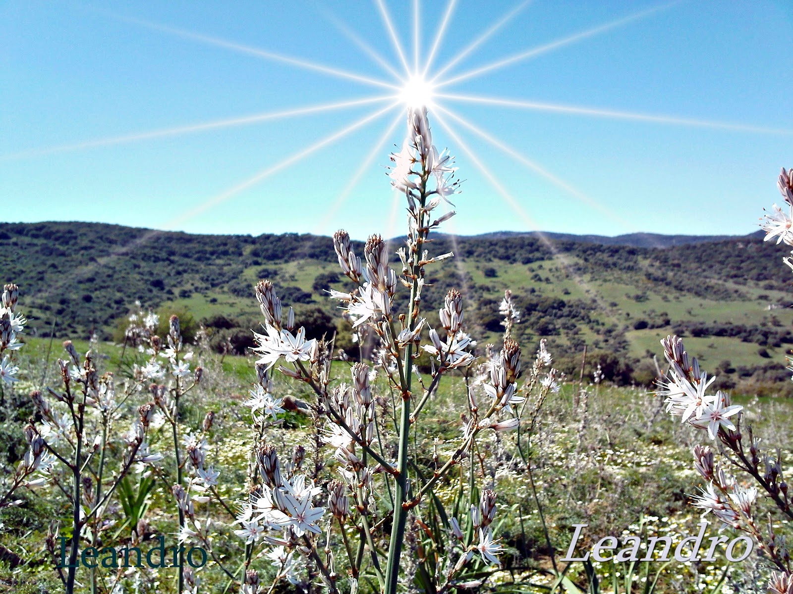 Manuel Cabello y Esperanza Izquierdo: "El blog de Ocurris". "Ubrique en ...