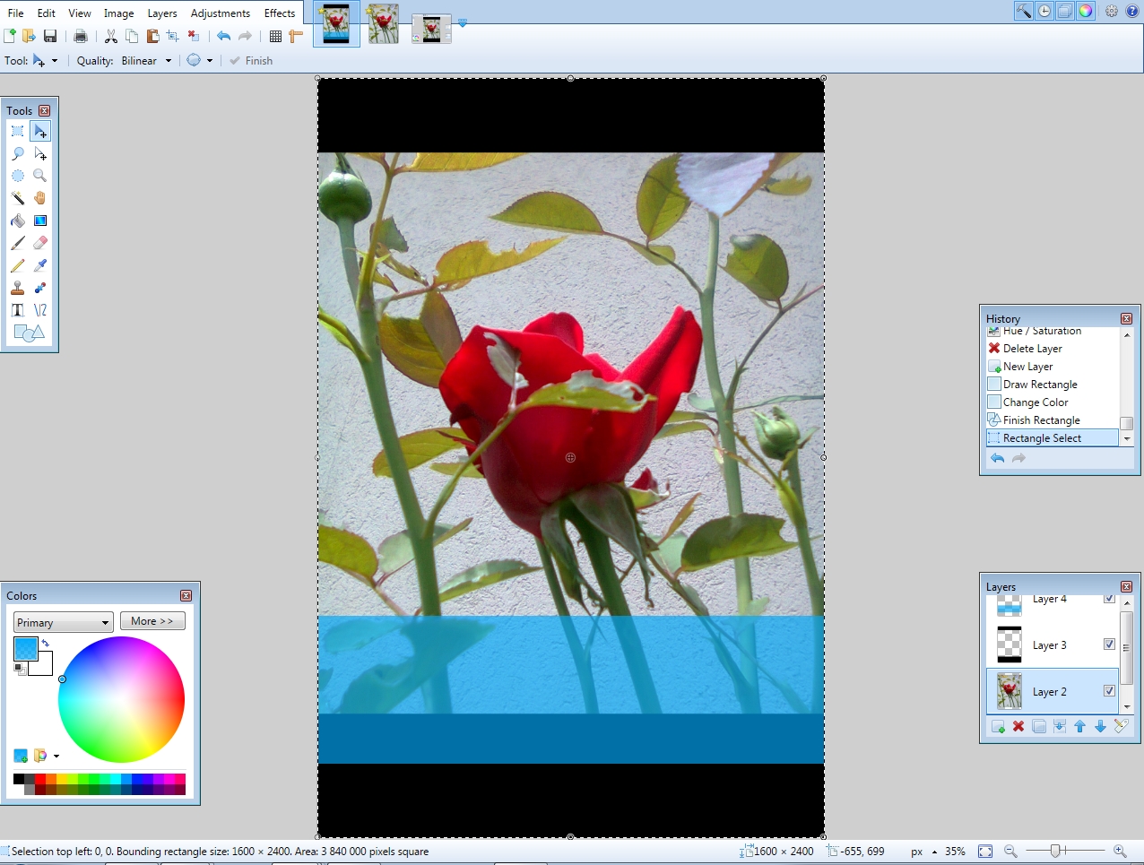 Asia's Blog: Book Cover with Paint.Net