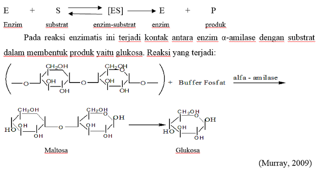 PERCOBAAN V - Pemurnian Awal Enzim Amilase ( Praktikum Biokimia ...