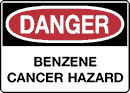 Your Greener Future: Benzene Exposure In Hot Cars and How To Minimize Risk