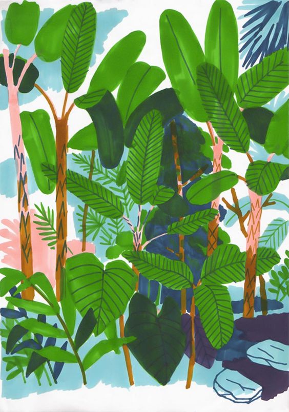 ILUSTRANDO: TÉCNICA ROTULADOR