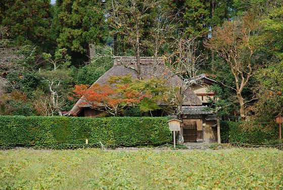 CARPE DIEM HAIKU KAI: Carpe Diem Special #203 Basho's disciples: Mukai ...