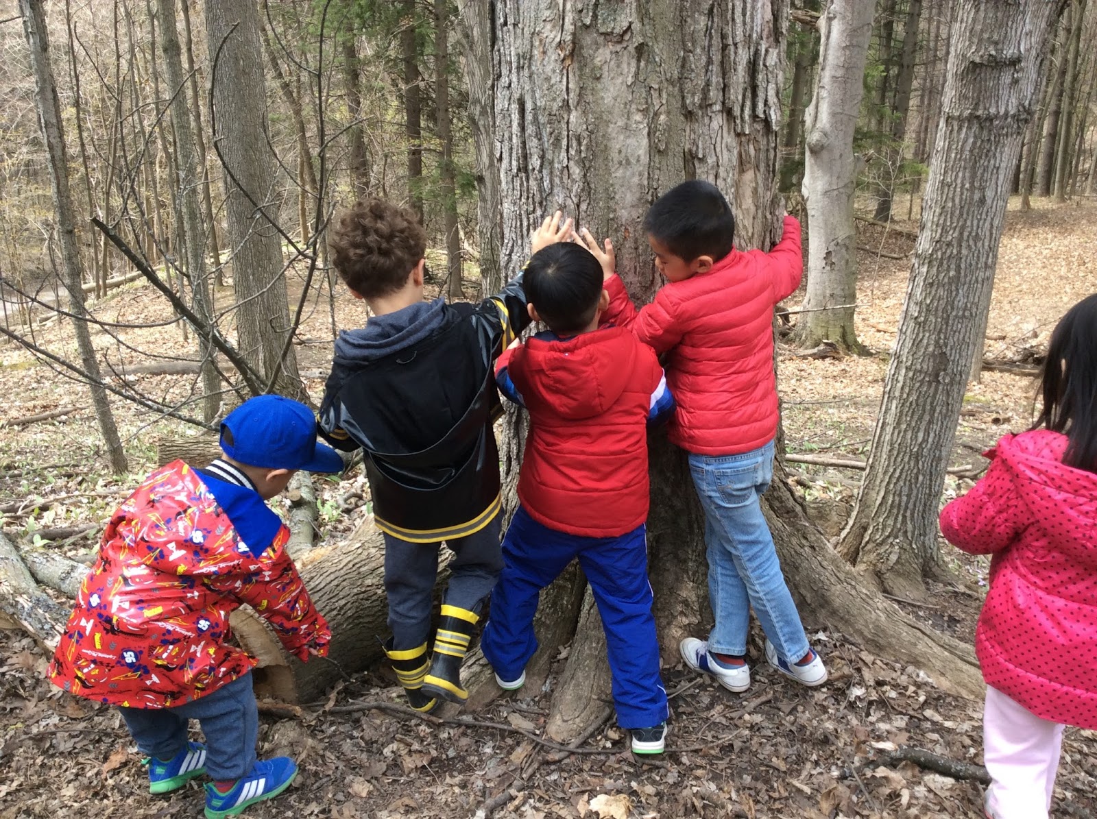 Ms. Gikov's Kinder "garden" Learning Environment: Outdoor Learning