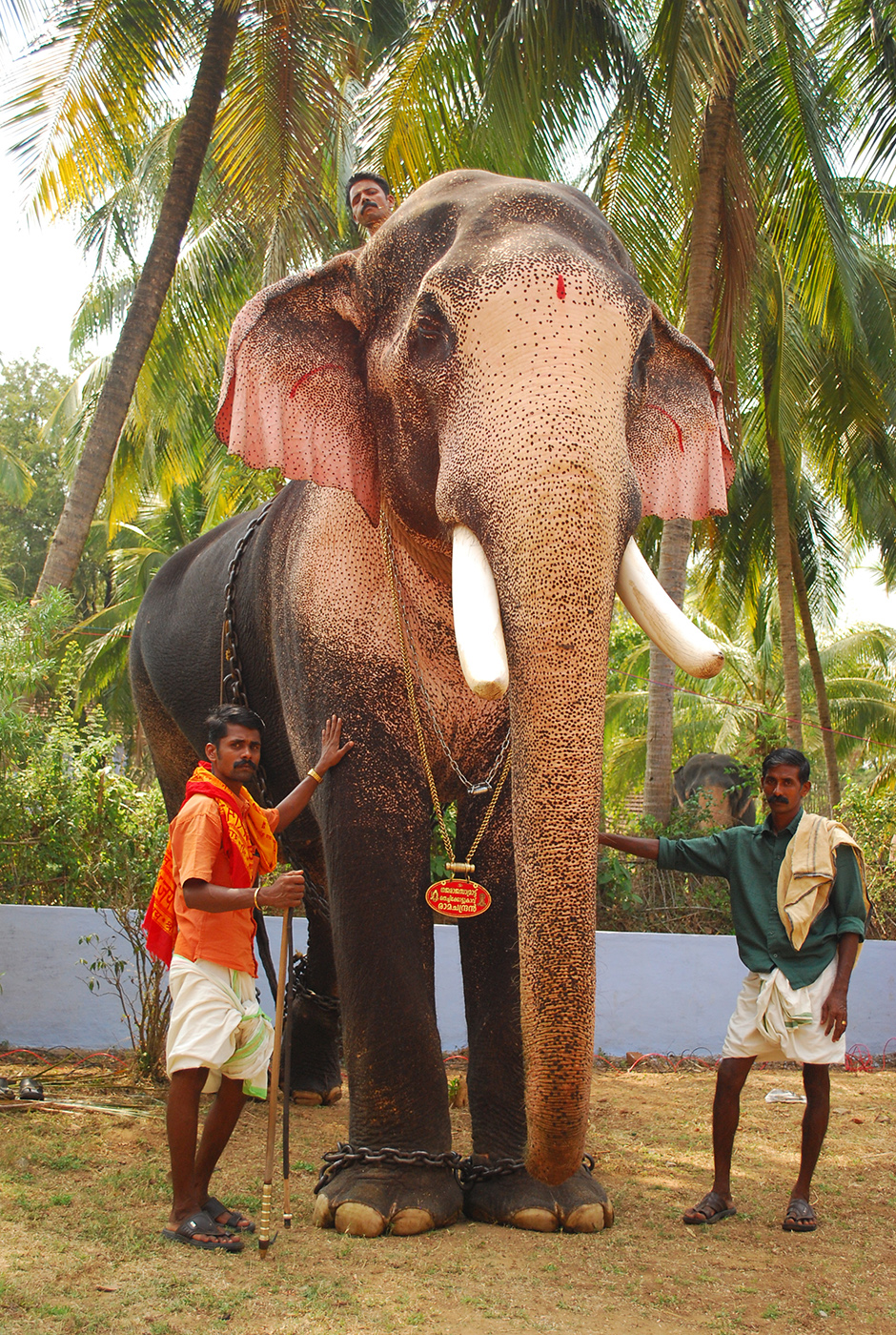 Mangalamkunnu Karnan